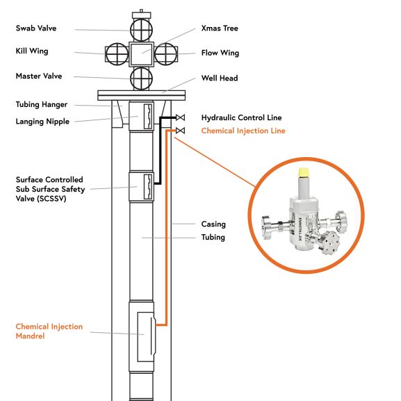 Chemical injection valve - long