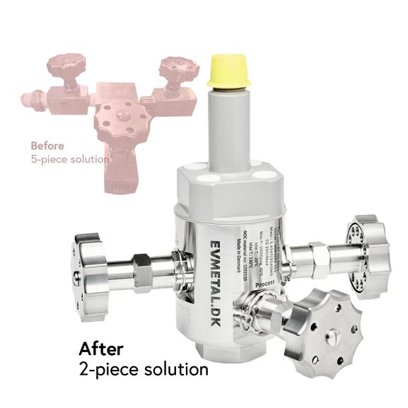 Chemical injection valve - long
